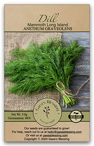 Gaea's Blessing Seeds - Dill Seeds - Mammoth Long Island - Non-GMO Seeds with Easy to Follow Instructions - Heirloom 88% Germination Rate Net Wt. 3.0g