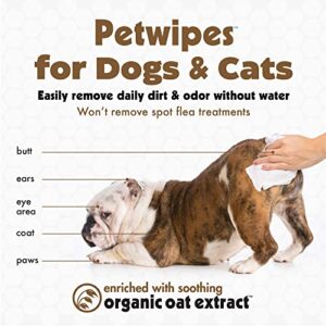 Petkin Pet Wipes for Dogs and Cats, 200 Wipes (Large) – Oatmeal Pet Wipes for Dogs and Cats – Soothes Itchy Dry Skin and Cleans Ears, Face, Butt, Body and Eye Area – 2 Packs of 100 Wipes