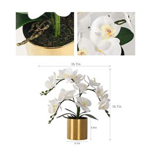 LESING Artificial Orchid Flower with Vase, White Orchid Bonsai Faux Orchid Phalaenopsis Plant Pot Arrangements for Home Decoration (White,Gold Vase)