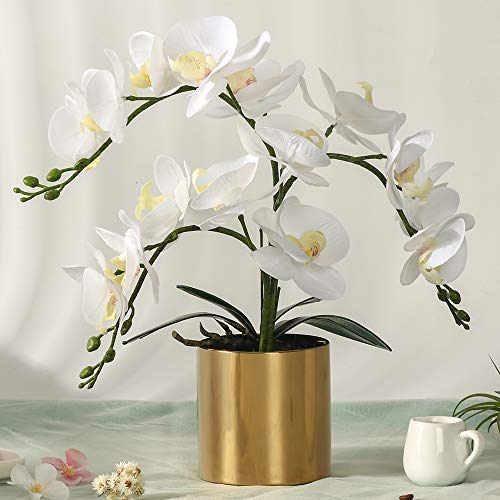 LESING Artificial Orchid Flower with Vase, White Orchid Bonsai Faux Orchid Phalaenopsis Plant Pot Arrangements for Home Decoration (White,Gold Vase)