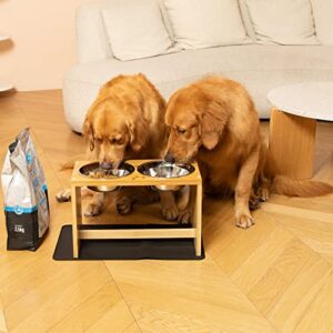 Yangbaga Elevated Dog Bowls, Raised Dog Feeding Station with 2 Bowls, Comes with a Nonslip Pad, Easy to Clean