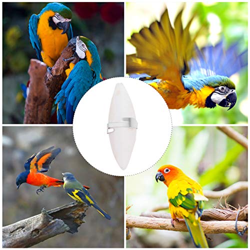 Balacoo 6 Set Bird Cuttlebone with Holder Parrot Chew Bite Cuttlebone Reptile Tortoise Snails Cuttlefish Bone Pet Teeth Grinding Toys