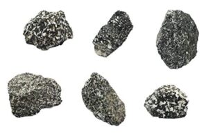 6pk raw diorite, igneous rock specimens - approx. 1" - geologist selected & hand processed - great for science classrooms - class pack - eisco labs