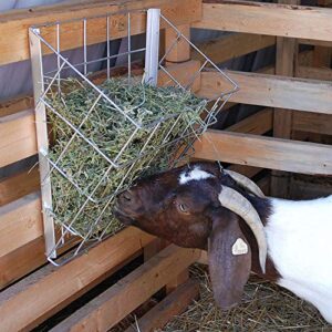 Rugged Ranch SGGBF Wall Mounted Rustproof Galvanized Steel Sheep, Goat, Horse, Rabbit, Guinea Pig, and Cow Livestock Hay Feeder Rack, Silver (2 Pack)