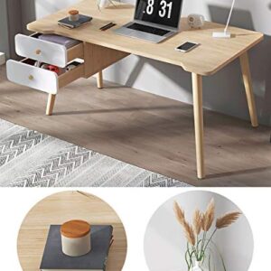 Simple Computer Desk with 2 Drawers,Wooden Study Writing Desk Home,Modern Style Sturdy Pc Laptop Table for Home Office Workstation