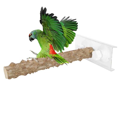 Bird Standing Rod, 30CM Parrot Bath Standing Rack Bird Wall Mount Perch with Suction Cup Shower Bath Toy for Bird Parrot