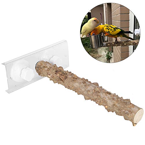 Bird Standing Rod, 30CM Parrot Bath Standing Rack Bird Wall Mount Perch with Suction Cup Shower Bath Toy for Bird Parrot