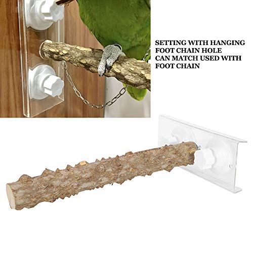 Bird Standing Rod, 30CM Parrot Bath Standing Rack Bird Wall Mount Perch with Suction Cup Shower Bath Toy for Bird Parrot