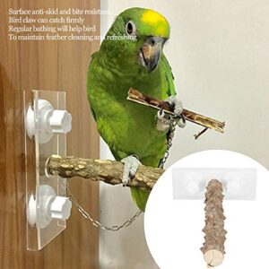 Bird Standing Rod, 30CM Parrot Bath Standing Rack Bird Wall Mount Perch with Suction Cup Shower Bath Toy for Bird Parrot