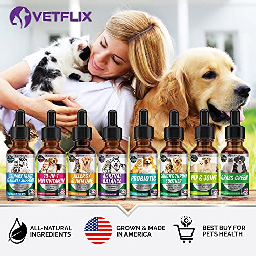 Kennel Cough Treatment for Dogs & Cats - Made in USA - Dog Allergy & Cat Asthma Relief - Mullen Leaf & Elderberry Blend - Dry, Wet & Barky Cough Relief for Dogs & Cats - All Breeds & Sizes