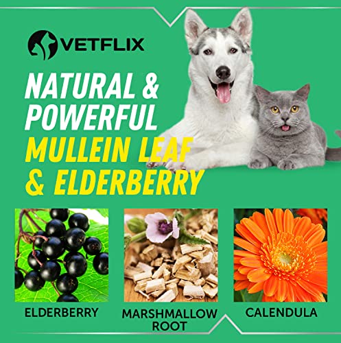 Kennel Cough Treatment for Dogs & Cats - Made in USA - Dog Allergy & Cat Asthma Relief - Mullen Leaf & Elderberry Blend - Dry, Wet & Barky Cough Relief for Dogs & Cats - All Breeds & Sizes