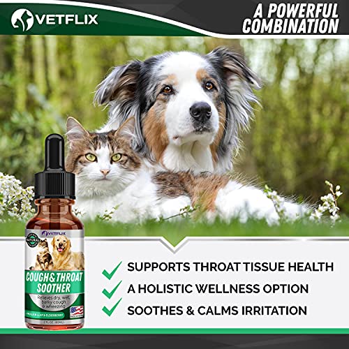 Kennel Cough Treatment for Dogs & Cats - Made in USA - Dog Allergy & Cat Asthma Relief - Mullen Leaf & Elderberry Blend - Dry, Wet & Barky Cough Relief for Dogs & Cats - All Breeds & Sizes