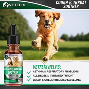 Kennel Cough Treatment for Dogs & Cats - Made in USA - Dog Allergy & Cat Asthma Relief - Mullen Leaf & Elderberry Blend - Dry, Wet & Barky Cough Relief for Dogs & Cats - All Breeds & Sizes