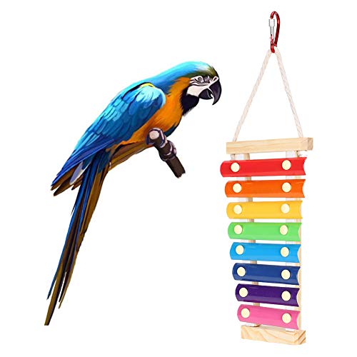 Zerodis Birds Hanging Xylophone Toy, Parrot Rooster Pecking Xylophone Toy Hen Relieve Boredom Percussion Toy with Different Sounds for Pet Parrot Bird