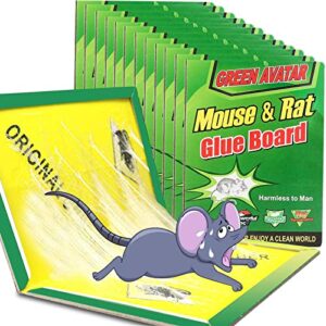 ezoon 12 pack large mouse glue traps with enhanced stickiness, rat mouse traps, snake mouse traps sticky pad board for house indoor outdoor, easy to set, extra large (8.3" x 12")