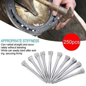 250PCS Horseshoe Nails Steel Hoof Peg Horseshoe Accessory Firmly Horseshoe Nails Horse Tool Accessory