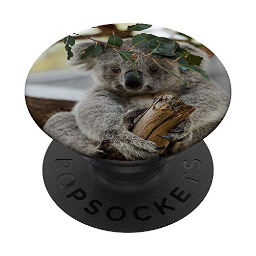 Koala Bear PopSockets Swappable PopGrip