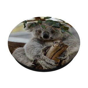 Koala Bear PopSockets Swappable PopGrip