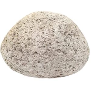 Raw Pumice, Igneous Rock Specimen - Hand Sample - Approx. 3" - Geologist Selected & Hand Processed - Great for Science Classrooms - Eisco Labs