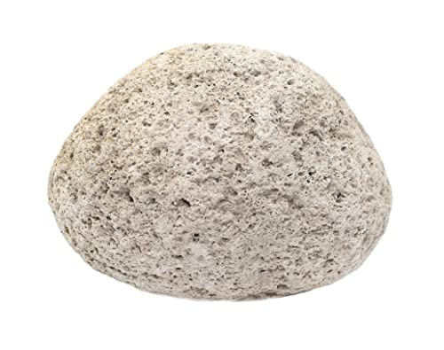 Raw Pumice, Igneous Rock Specimen - Hand Sample - Approx. 3" - Geologist Selected & Hand Processed - Great for Science Classrooms - Eisco Labs