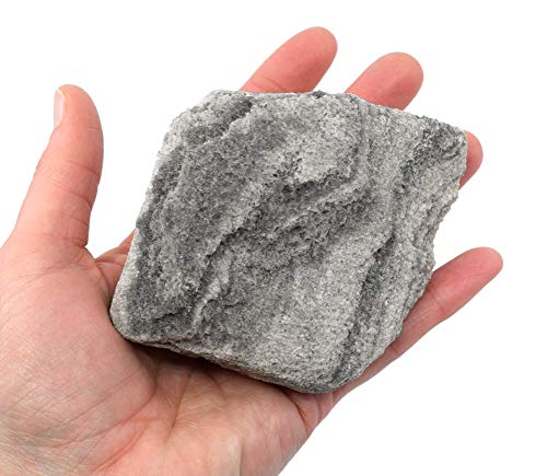 Raw Pumice, Igneous Rock Specimen - Hand Sample - Approx. 3" - Geologist Selected & Hand Processed - Great for Science Classrooms - Eisco Labs