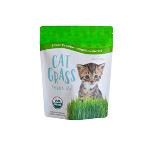 certified organic cat grass seeds by handy pantry - non-gmo wheatgrass seeds for cats, dogs, rabbits, pets - wheat grass hairball remedy for cats - hard red wheat for your home cat grass kit (12 oz.)