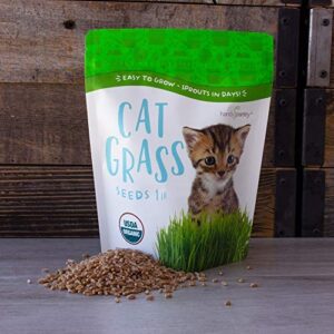 Certified Organic Cat Grass Seeds by Handy Pantry - Non-GMO Wheatgrass Seeds for Cats, Dogs, Rabbits, Pets - Wheat Grass Hairball Remedy for Cats - Hard Red Wheat for Your Home Cat Grass Kit (12 oz.)