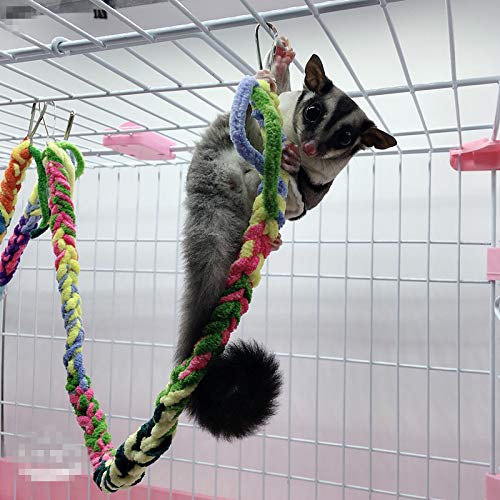 Handmade Sugar Glider Toys for Climbing/ Exercising/ Jungle Exploration, Hanging Toy Cage Accessories, Rat Toys, Bird Rope Perch Swing Toy, Random Color, 6 Pack