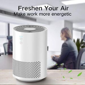 THE THREE MUSKETEERS III M HEPA Air Purifier for Home Bedroom Office and Desk, High Efficiency Portable Air Cleaner 080A Filter