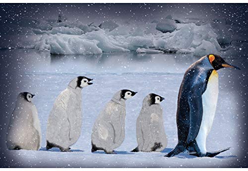 Penguins Call of The Wild Digital Panel by Hoffman Cailfornia Fabrics 100% Cotton Quilt Fabric S4740H-621 Arctic Blue - 29" x 42"