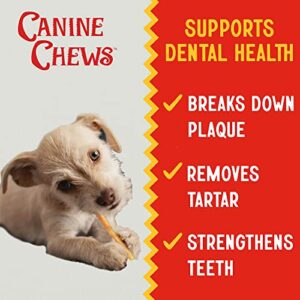 Canine Chews 5" Chicken Slurry Sticks - Pack of 100 Chicken Wrapped Rawhide Dog Treats - 100% Real USA-Sourced Chicken Coating - Protein-Dense Chicken Wrapped Dog Treats Rawhide Chews