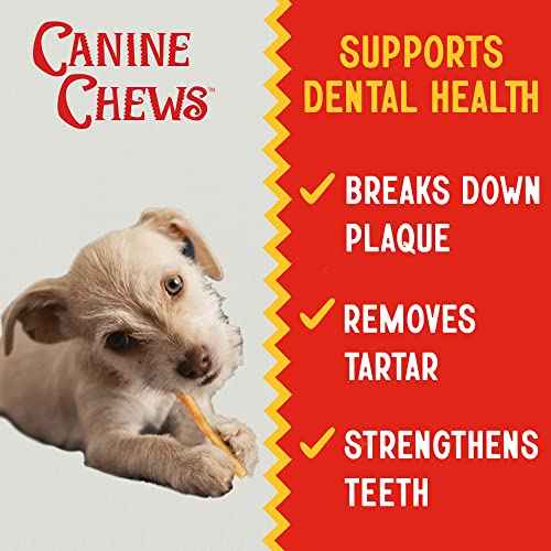 Canine Chews 5" Chicken Slurry Sticks - Pack of 100 Chicken Wrapped Rawhide Dog Treats - 100% Real USA-Sourced Chicken Coating - Protein-Dense Chicken Wrapped Dog Treats Rawhide Chews