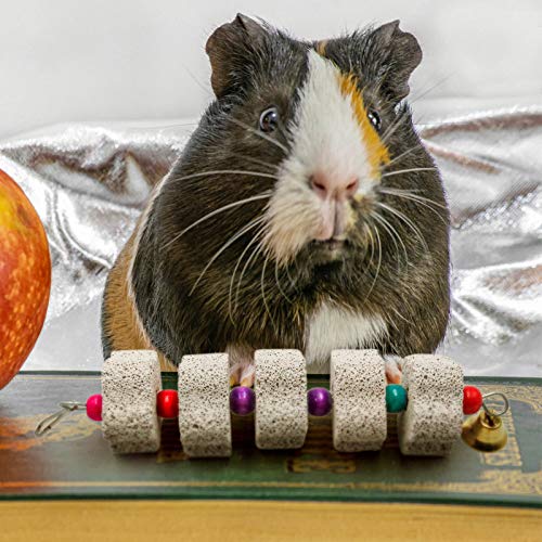 Hamster Lava Bites, Small Animal Pet Bunny Chew Toys, Teeth Grinding Block & Wooden Apple Molar Toy for Rabbit Chinchilla Guinea Pigs Squirrel Parrot Rats Chewing Playing Improve Dental Health (H01)