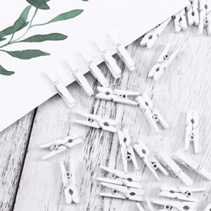 VORCOOL Pin 100PCS Mini Wooden Pegs, Mini Pegs for Holding Photo Paper, Photo Pegs for Craft and DIY Decor Wedding Decor