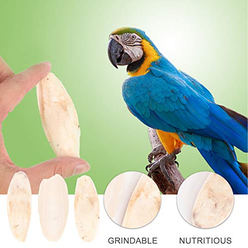 Scicalife Bird Cuttlebone for Parakeets,8-12cm Natural Cuddle Bone, Chewing Cuttlefish Bone for Sharp Beaks, Natural Birds Calcium Suitable for Parrot Cockatiels Budgie Conures (Beige)