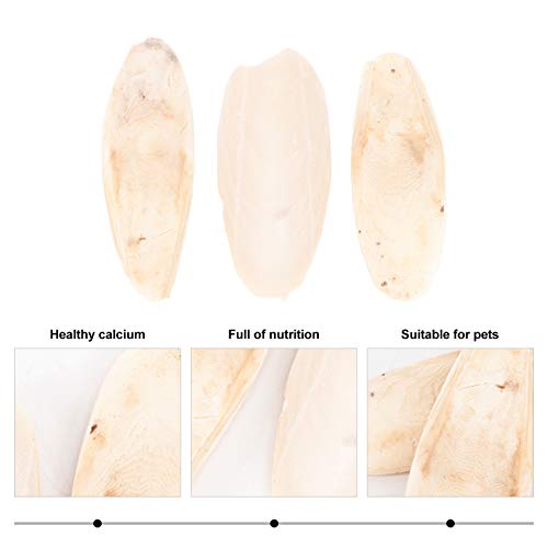 Scicalife Bird Cuttlebone for Parakeets,8-12cm Natural Cuddle Bone, Chewing Cuttlefish Bone for Sharp Beaks, Natural Birds Calcium Suitable for Parrot Cockatiels Budgie Conures (Beige)