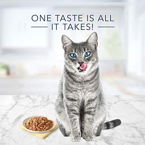 Blue Buffalo Tastefuls Natural Flaked Wet Cat Food Variety Pack, Tuna, Chicken, Fish & Shrimp Entrées in Gravy 3-oz Cans (12 Count - 4 of Each Flavor)