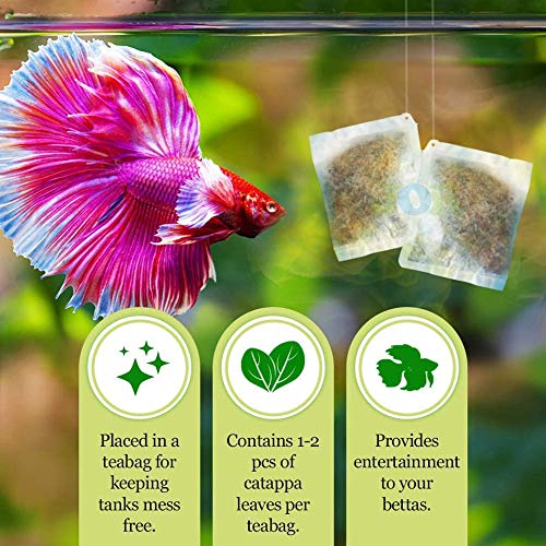 JOR Betta Teabags, 1.4-Ounce, Crushed Indian Almond Catappa Leaves, Regulates Water, Encourages Breeding, 6 Bags per Pack