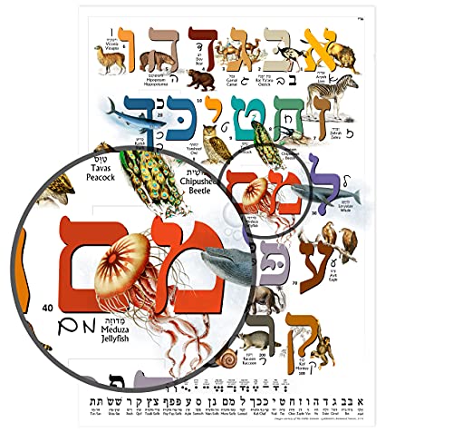 Hebrew Aleph Bet (Alef Bet) Animal Poster/Chart for Children with Print & Cursive Hebrew Alphabet (A3 11.7 x 16.5 in) Perfect for Hebrew Language Learner Beginners