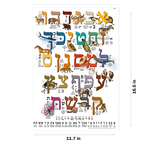 Hebrew Aleph Bet (Alef Bet) Animal Poster/Chart for Children with Print & Cursive Hebrew Alphabet (A3 11.7 x 16.5 in) Perfect for Hebrew Language Learner Beginners