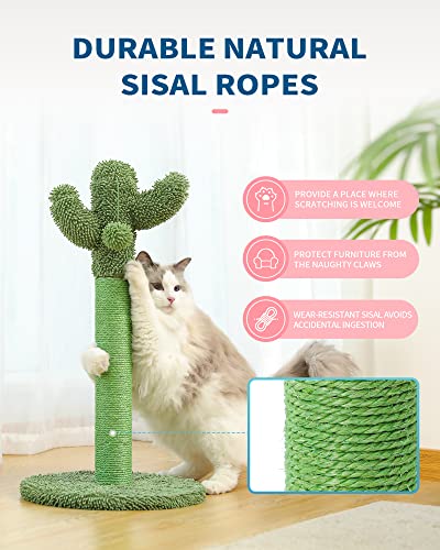 Made4Pets Cat Scratching Post, Cactus Cat Scratcher Kitten Scratching Post with Natural Sisal Rope for Indoor Cats Claw Scratcher, Vertical Green Cat Tree with Dangling Balls for Small Cats Kittens