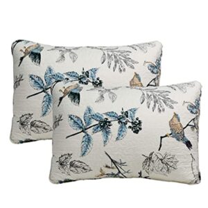 Brandream 3PC Birds Bedding Blanket Pillow Shams Set of 2 Standard Size Plus Cotton Quilted Blanket