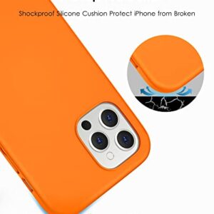 DTTO Compatible with iPhone 12/12 Pro Case Shockproof Silicone [Romance Series] Cover [Enhanced Camera and Screen Protection] with Honeycomb Grid Cushion for iPhone 12 6.1” 2020,Orange