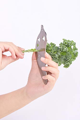 Herb Stripper Collard Green Stripper Tool,Kale Stripper For Thyme Rosemary