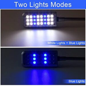 Goehiaul Aquarium Light Clip on Fish Tank Lighting Small Fish Light for Rimless Fish Tanks, White and Blue LEDs