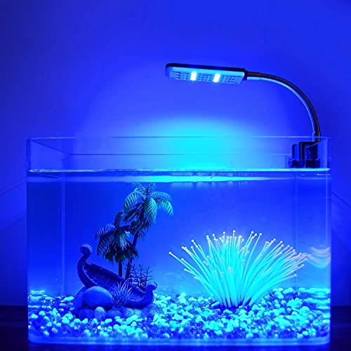 Goehiaul Aquarium Light Clip on Fish Tank Lighting Small Fish Light for Rimless Fish Tanks, White and Blue LEDs