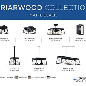 Progress Lighting P500041-031 Briarwood Pendants, Ceruse Black 9.00x10.00x10.00