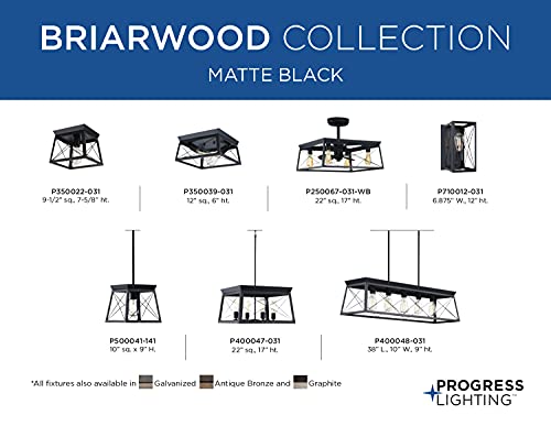 Progress Lighting P500041-031 Briarwood Pendants, Ceruse Black 9.00x10.00x10.00