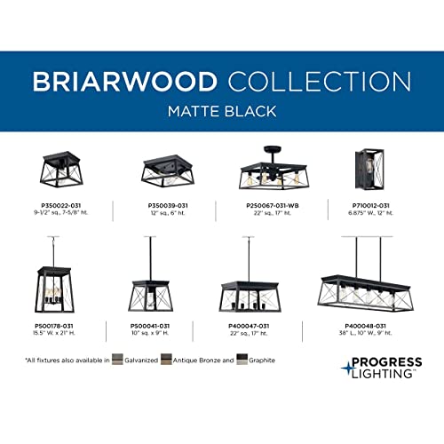 Progress Lighting P500041-031 Briarwood Pendants, Ceruse Black 9.00x10.00x10.00