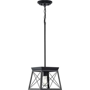 Progress Lighting P500041-031 Briarwood Pendants, Ceruse Black 9.00x10.00x10.00